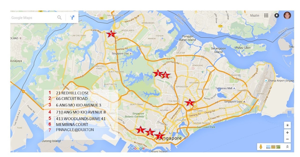 Affordable Low and High-Rise Honeycomb Housing: The Singapore Experience