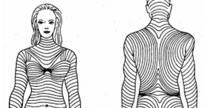 Diagnostico X: Lineas de Langer o Lineas de Tension