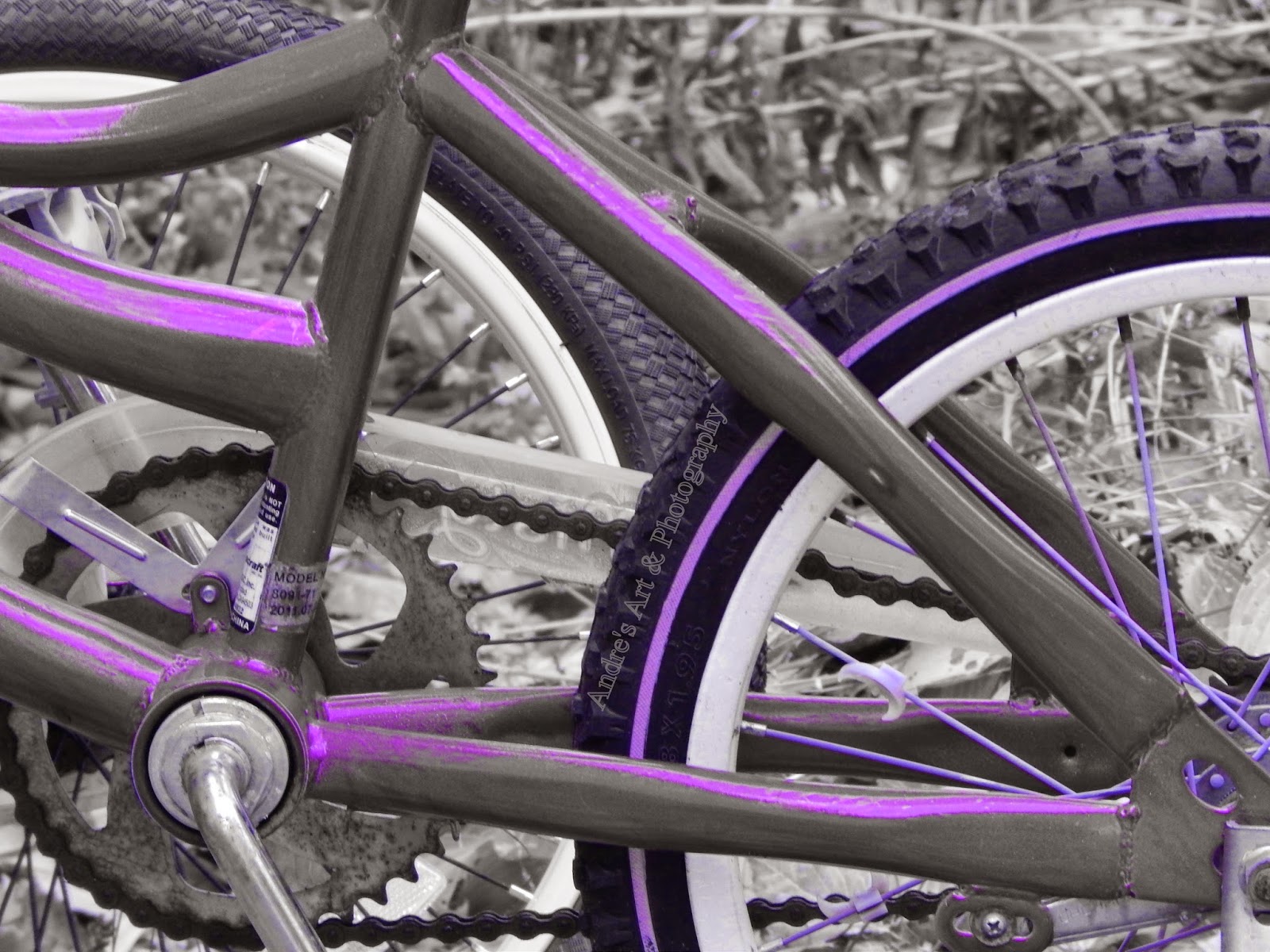 Through The Camera's Eyes: Andre's Photography Blog: All Of My Purple Life