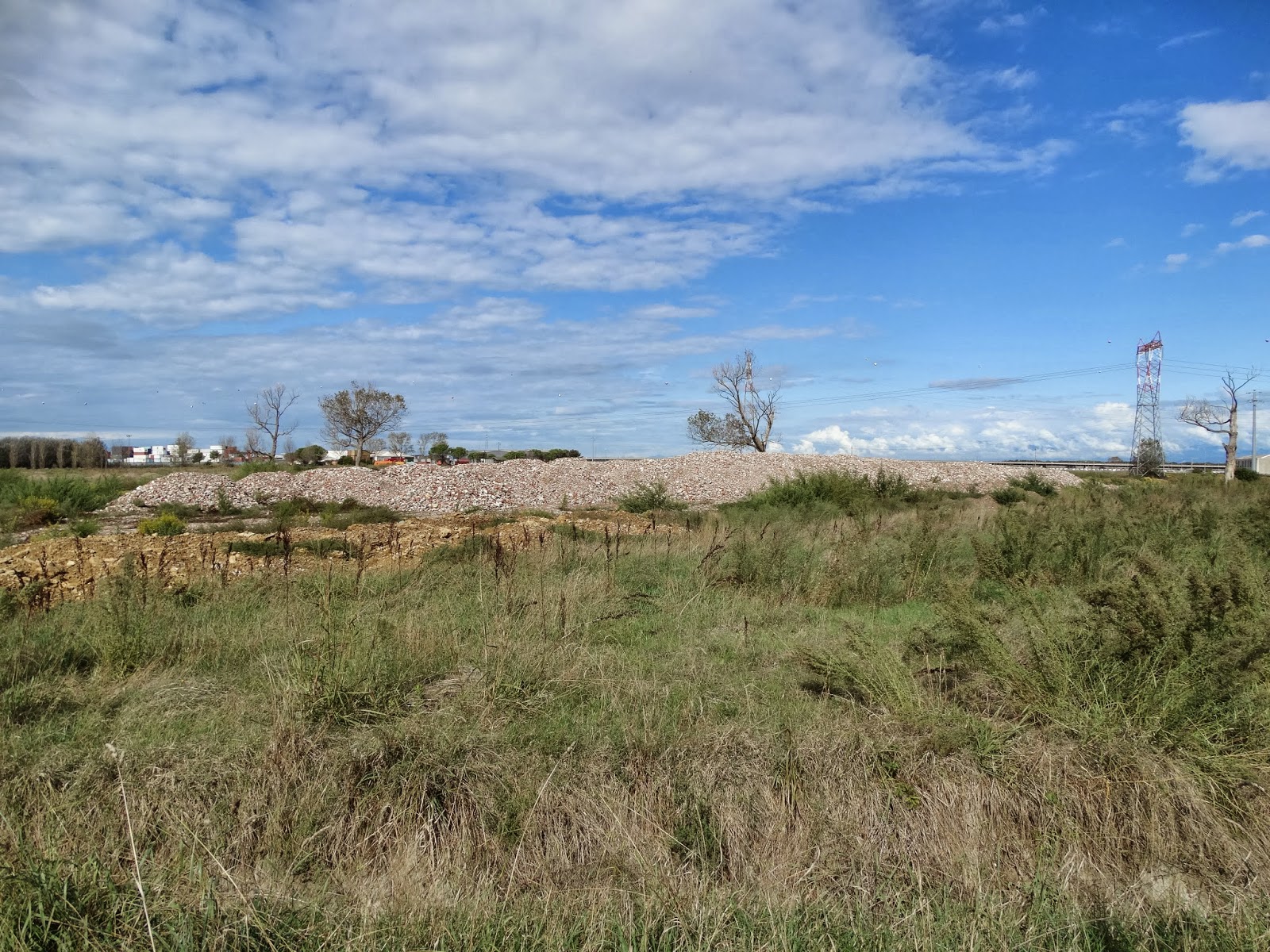 GUASTICCE ( COLLESALVETTI ) : ESPOSTO IN PROCURA CONTRO " IL PARCO ...