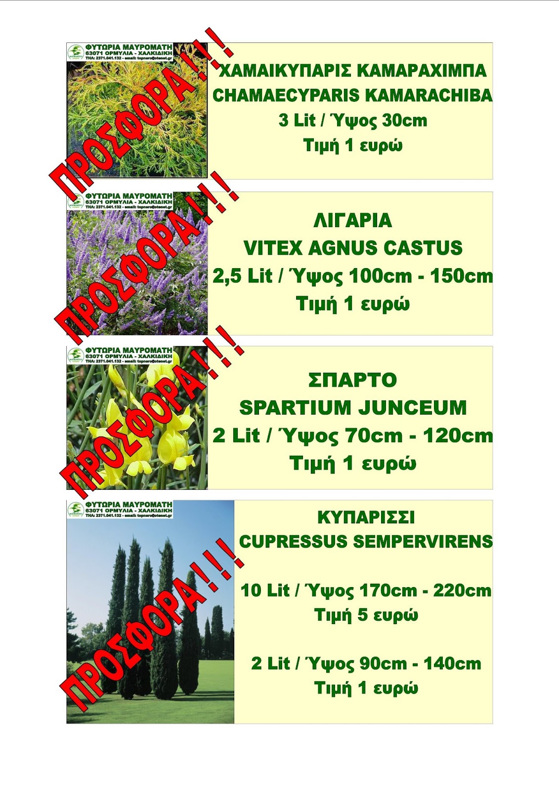 ΦΥΤΩΡΙΑ ΜΑΥΡΟΜΑΤΗ - ΟΡΜΥΛΙΑ ΧΑΛΚΙΔΙΚΗΣ: ΠΡΟΣΦΟΡΑ ΦΥΤΩΝ