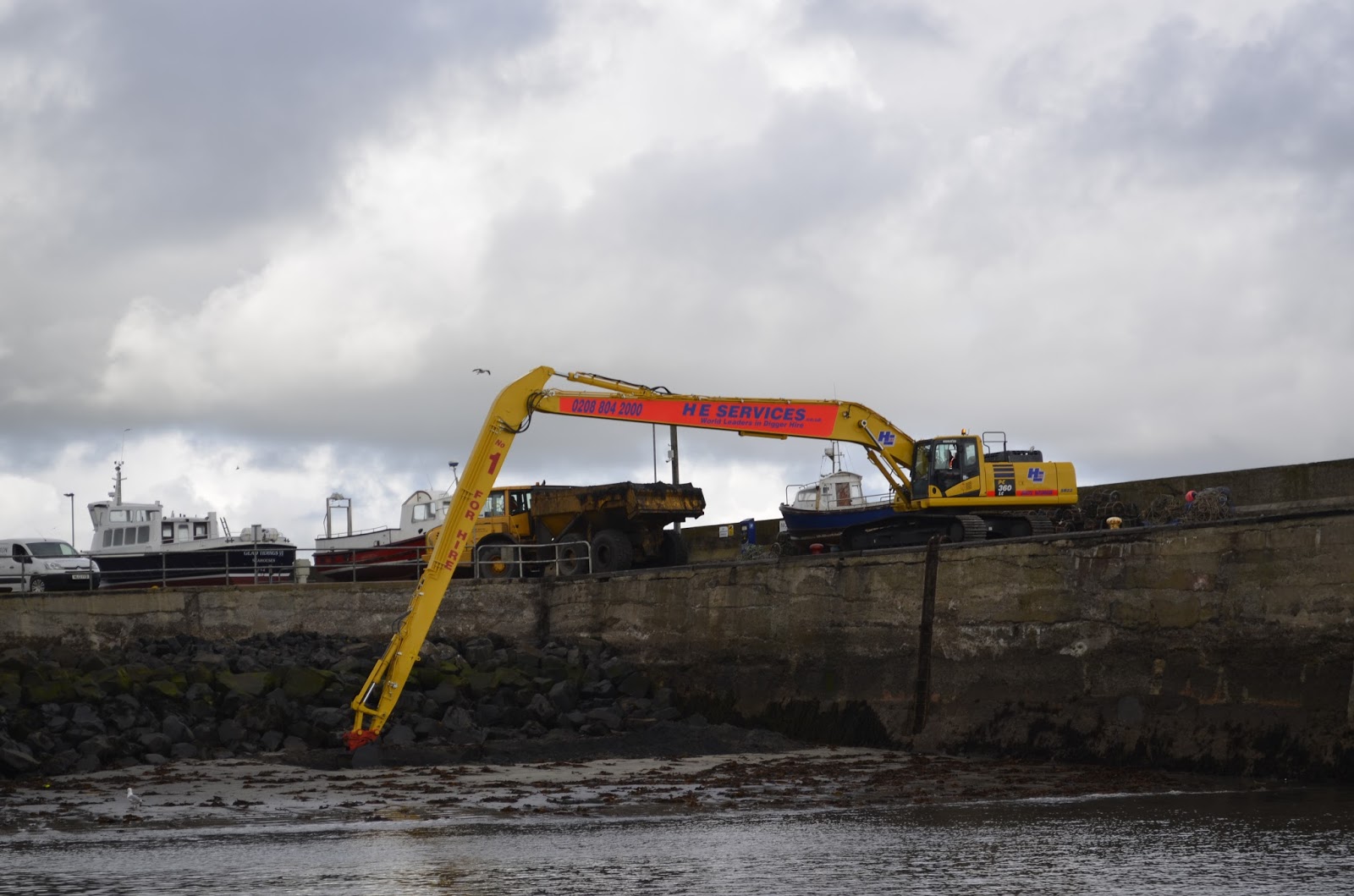 Big Diggers - Serenity Farne Islands Boat Tours and Trips