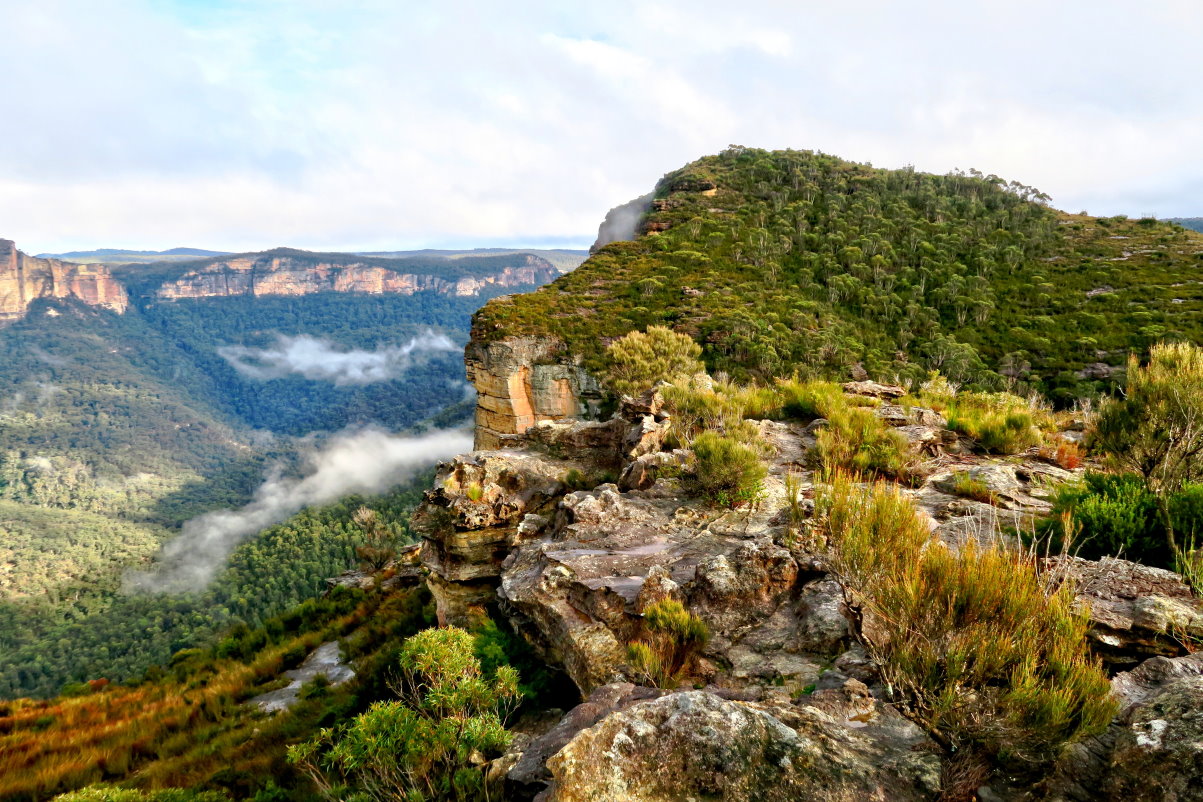 Mountains: Walls Lookout & Blue Mts Botanic Garden, NSW Blue Mts, Australia