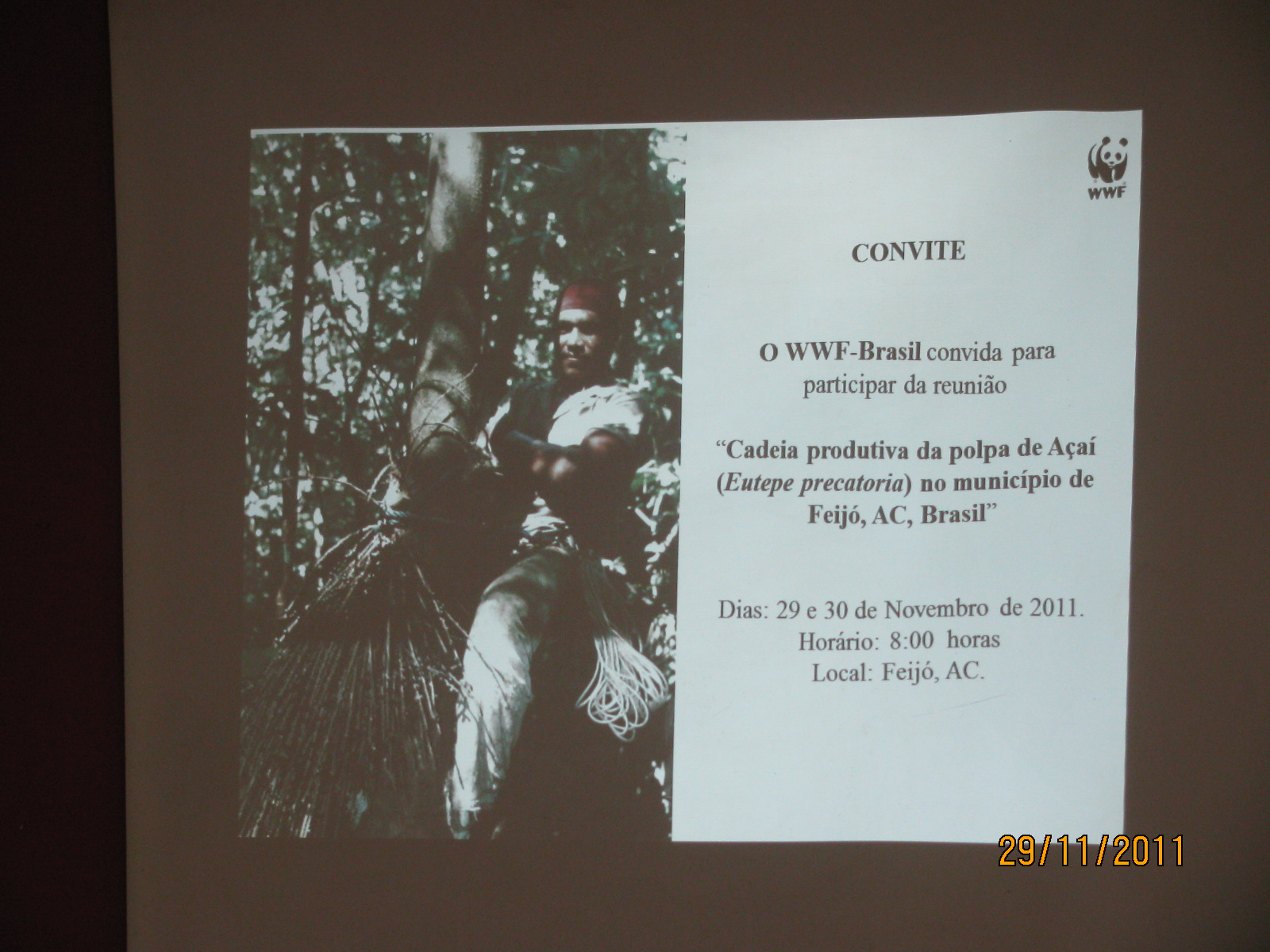 Equipe da ONG WWF Brasil realiza oficina com fomentadores e produtores ...