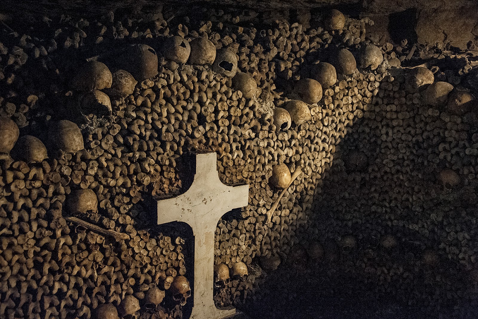 The Booby Hatcher: The Paris Catacombs
