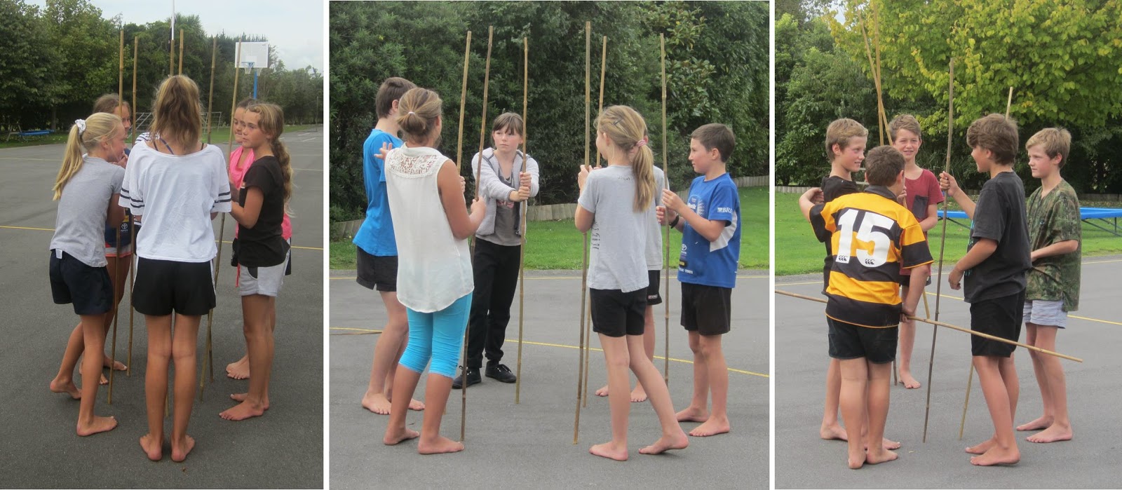 Room 8 - Halcombe School: Te Reo Kori