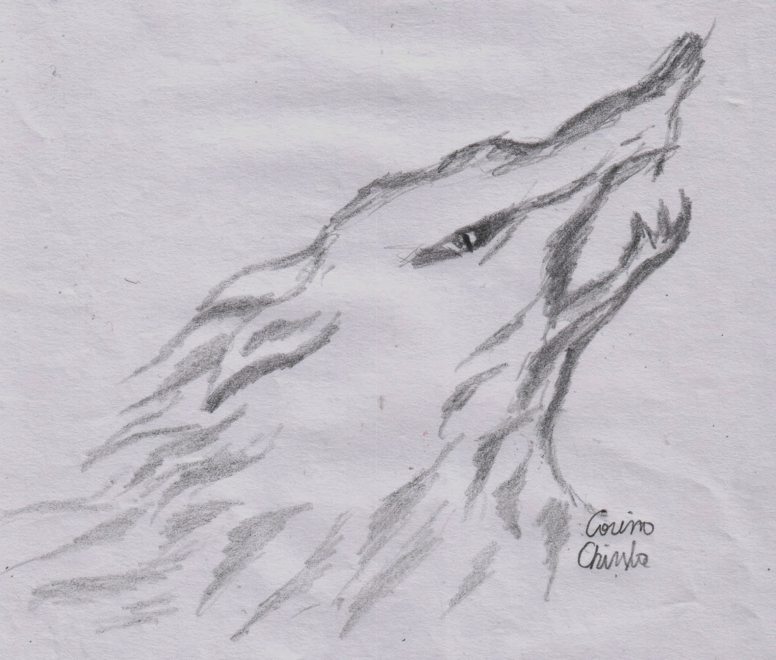 Grafica si pictura de Corina Chirila: Doua animale pe care le-am ...