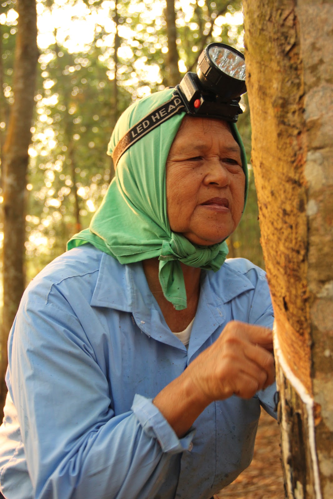 Creative Thinking & Idea Generation: A Rubber Tapper 's life