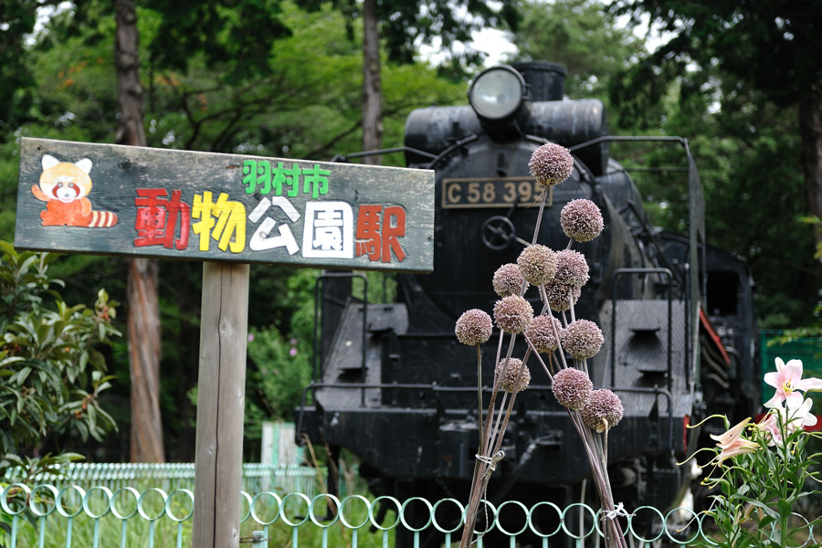 ファインクラフト駅長ブログ: 羽村動物園のC58-395号機