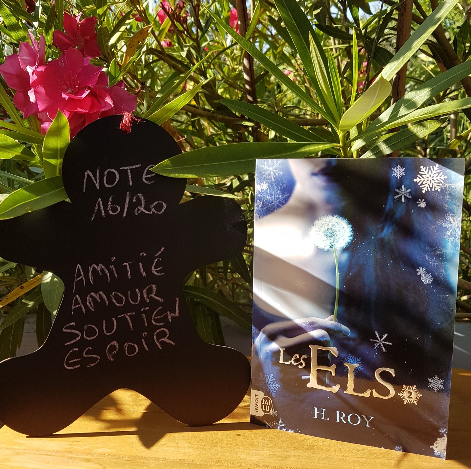 Les lectures de Mylène: Les Els, tome 2 de H. Roy