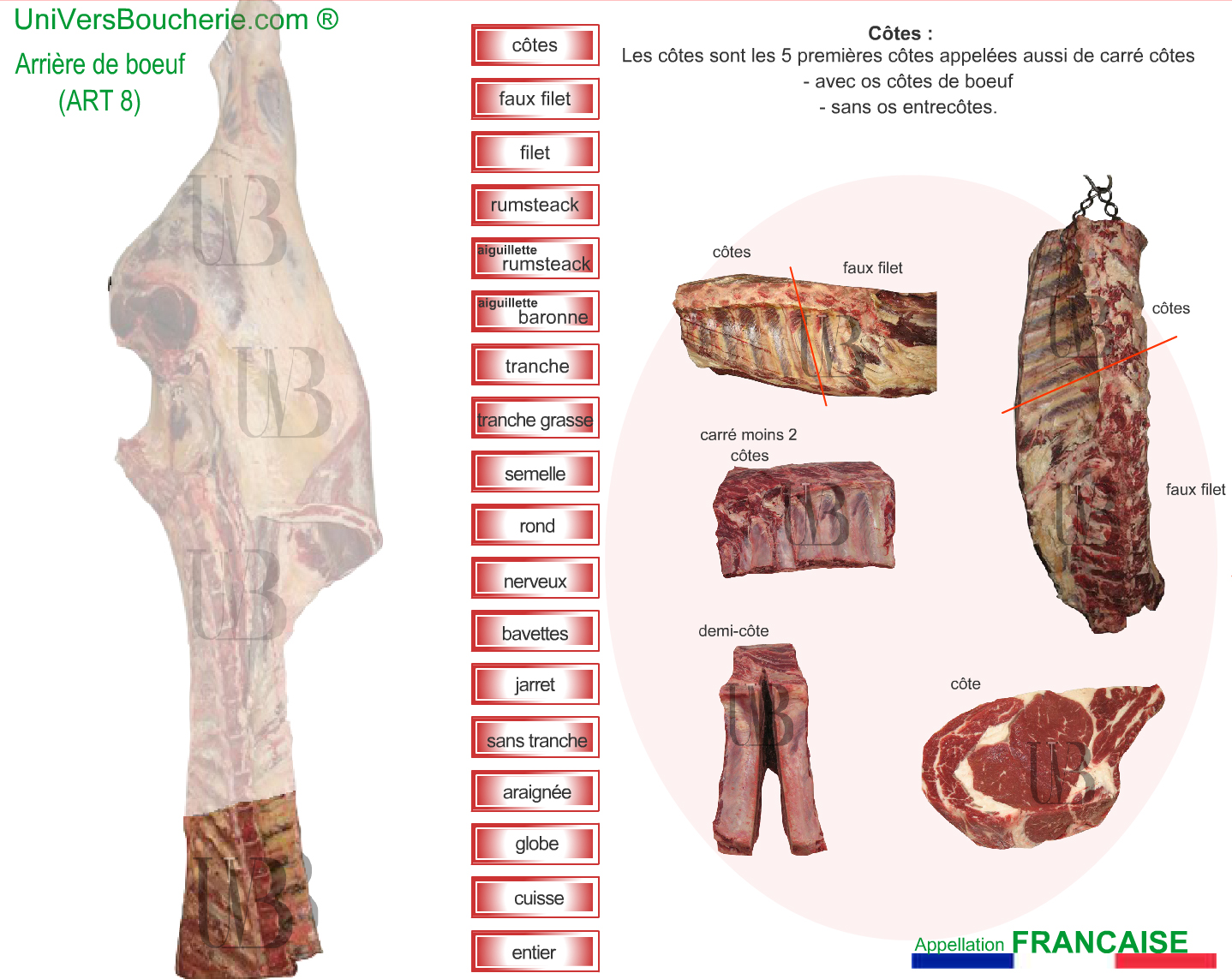 Carne bovina - cortes (II)