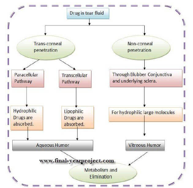 Ocular Drug Delivery System M.Pharma Project - Free Final Year Project's
