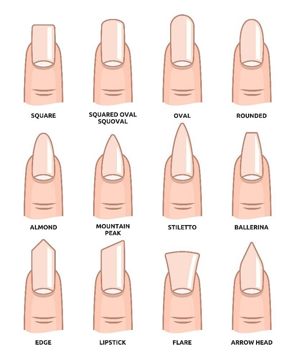 The 12 different Nail Shapes.