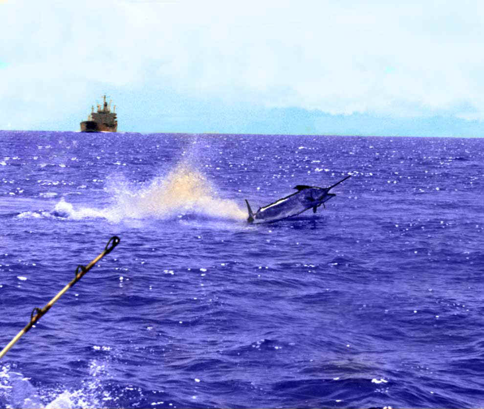 TROLLING FISHING: The Best Trolling Fishing Lures