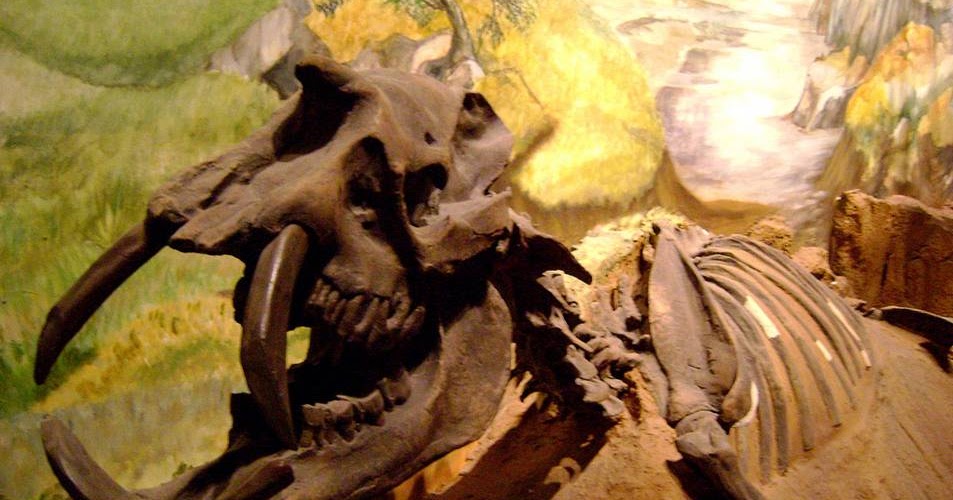 Noticias de Paleontologia: Astrapotherium magnum, la bestia del rayo en ...