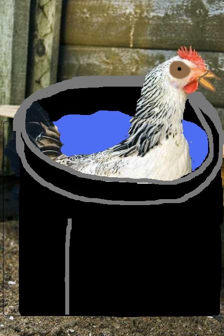 Channeling The Old Lady Within: bock bock bock (sound a chicken makes)