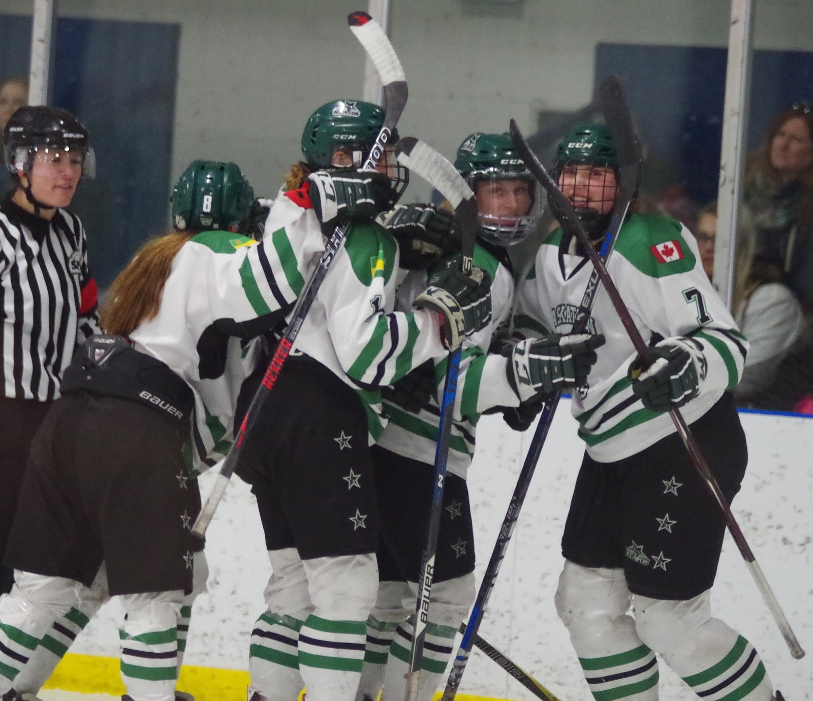 Stanks' Sermon: Messier, Leschyshyn blast Stars into fourth straight ...