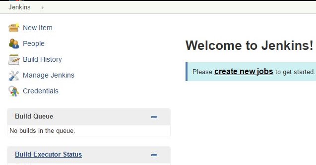 Selenium Webdriver Running Selenium Tests Using Jenkins And Git 