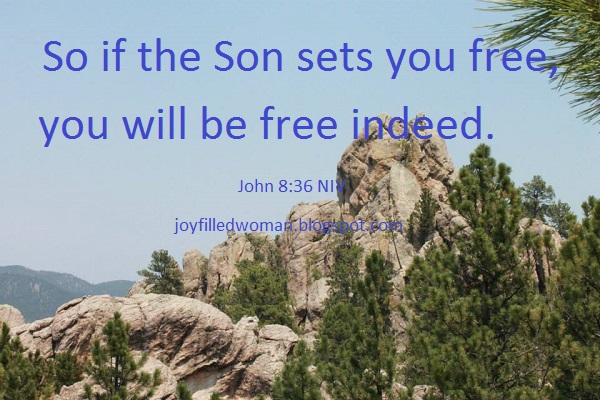 A Joy Filled Woman : Verse of the Week -John 8:36 - July 4, 2016