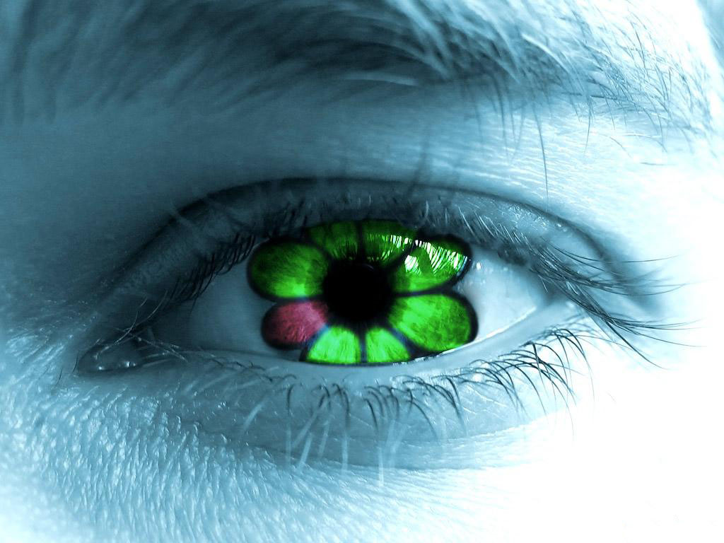 ICQ - Instant Messaging - Practic WEB