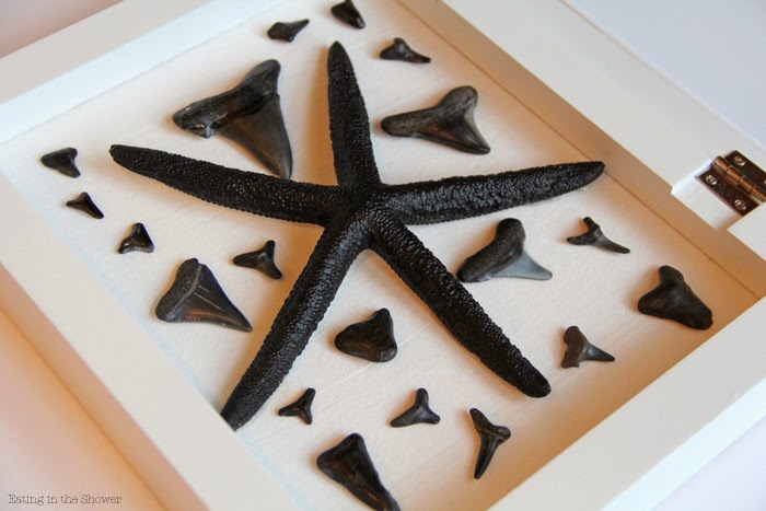 Eating in the Shower: Shark Tooth Shadow Box