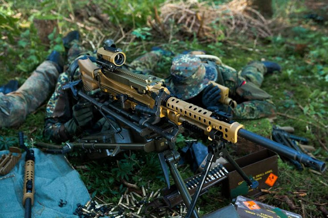 Defence Horizon: Heckler & Koch MG5