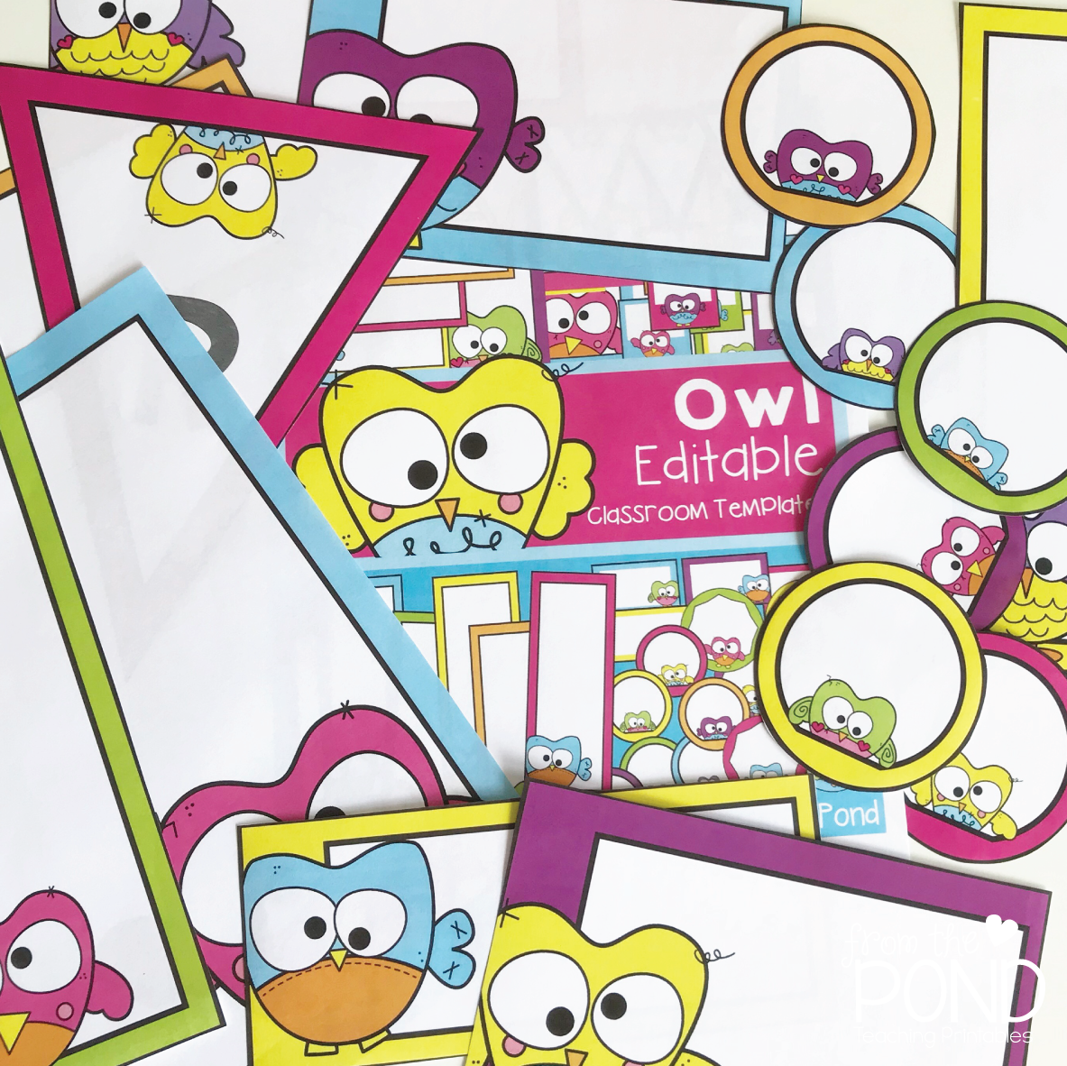 Owl Classroom Decor | From the Pond