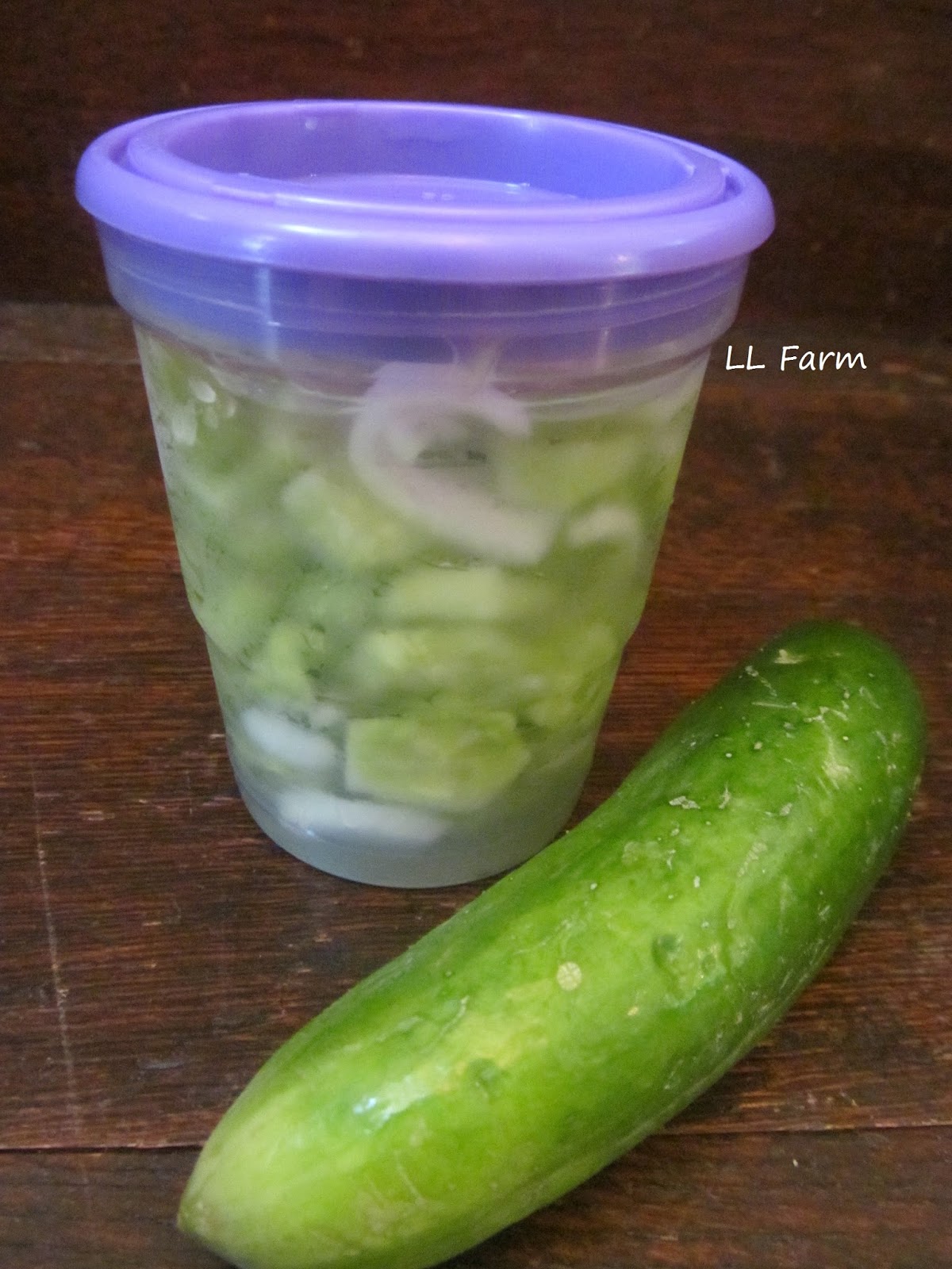 LL Farm: Freezer Pickles