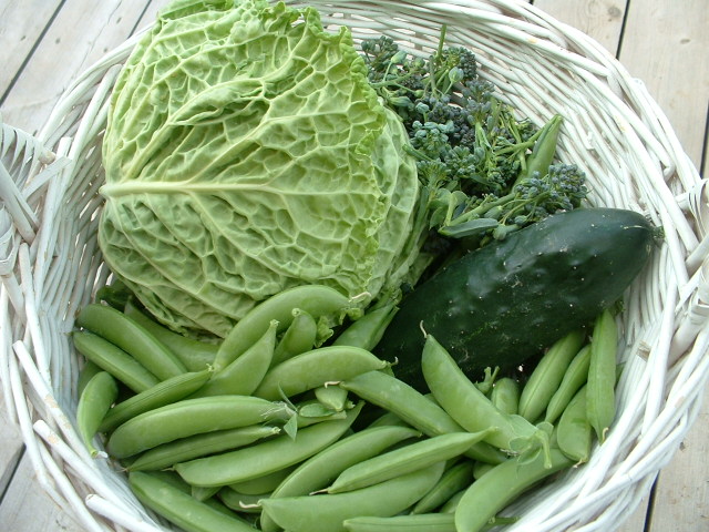 My Favorite Alaskan Vegetable Varieties – Alaska Master Gardener Blog