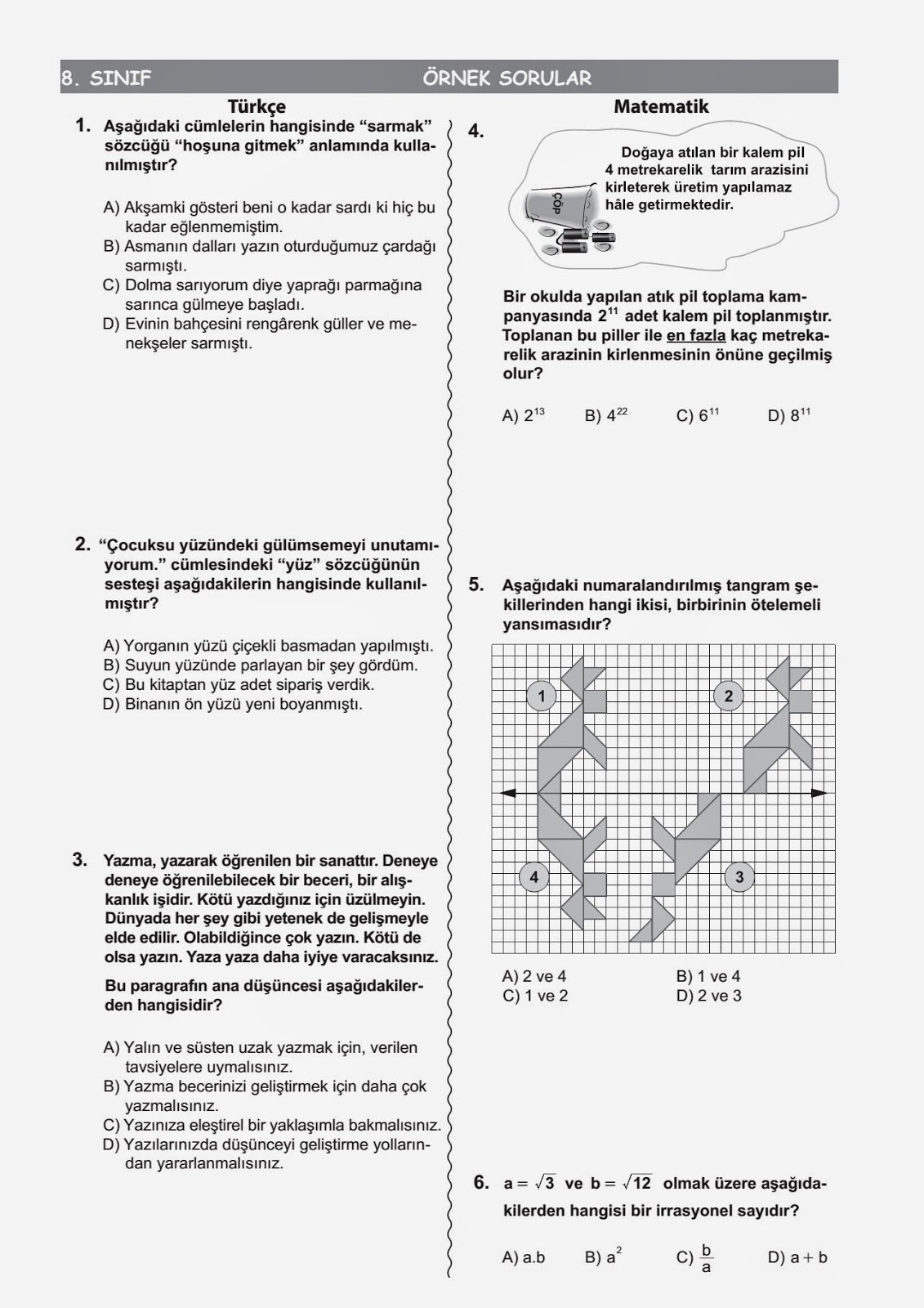 TEOG SBS Çıkmış Soruları: TEOG Örnek Soruları, Örnek TEOG Soruları