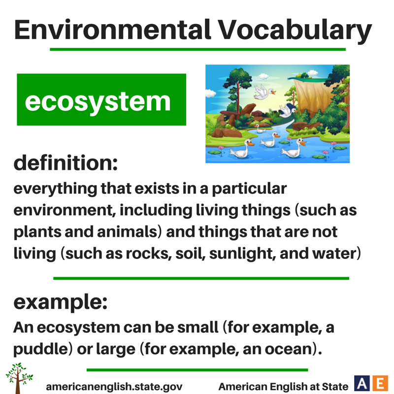 Learn English and Spanish - Aprende Inglés y Español: ENVIRONMENT ...