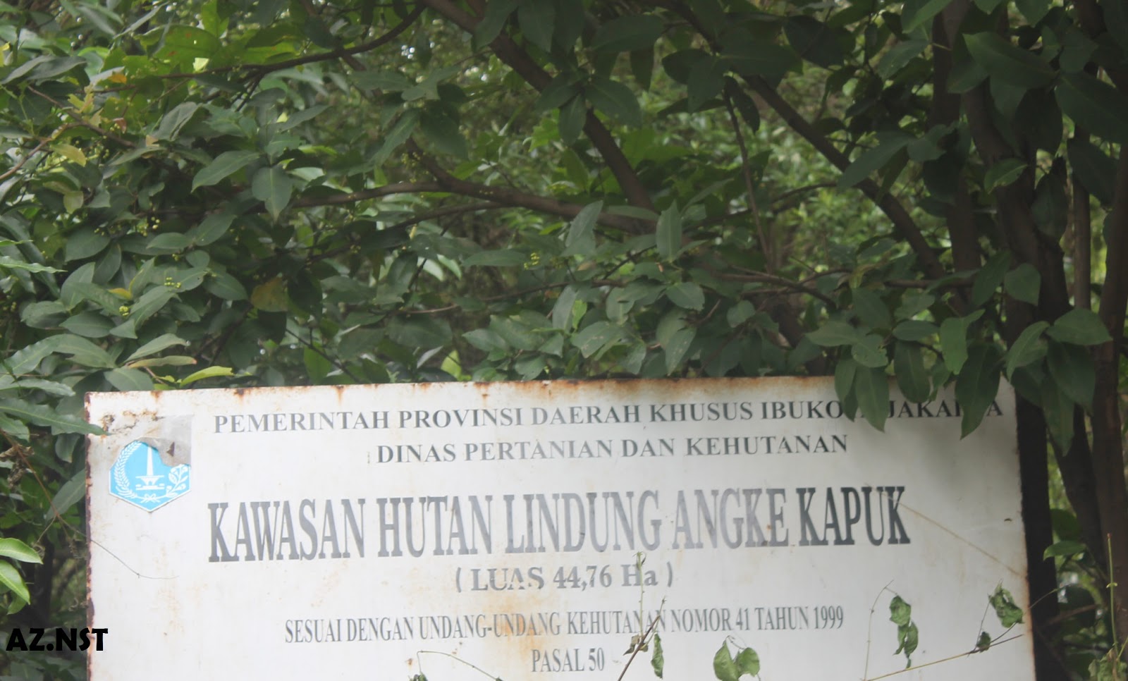 Mencoba sisi lain Suaka Margasatwa Muara Angke (SMMA) | DR. Arif ...