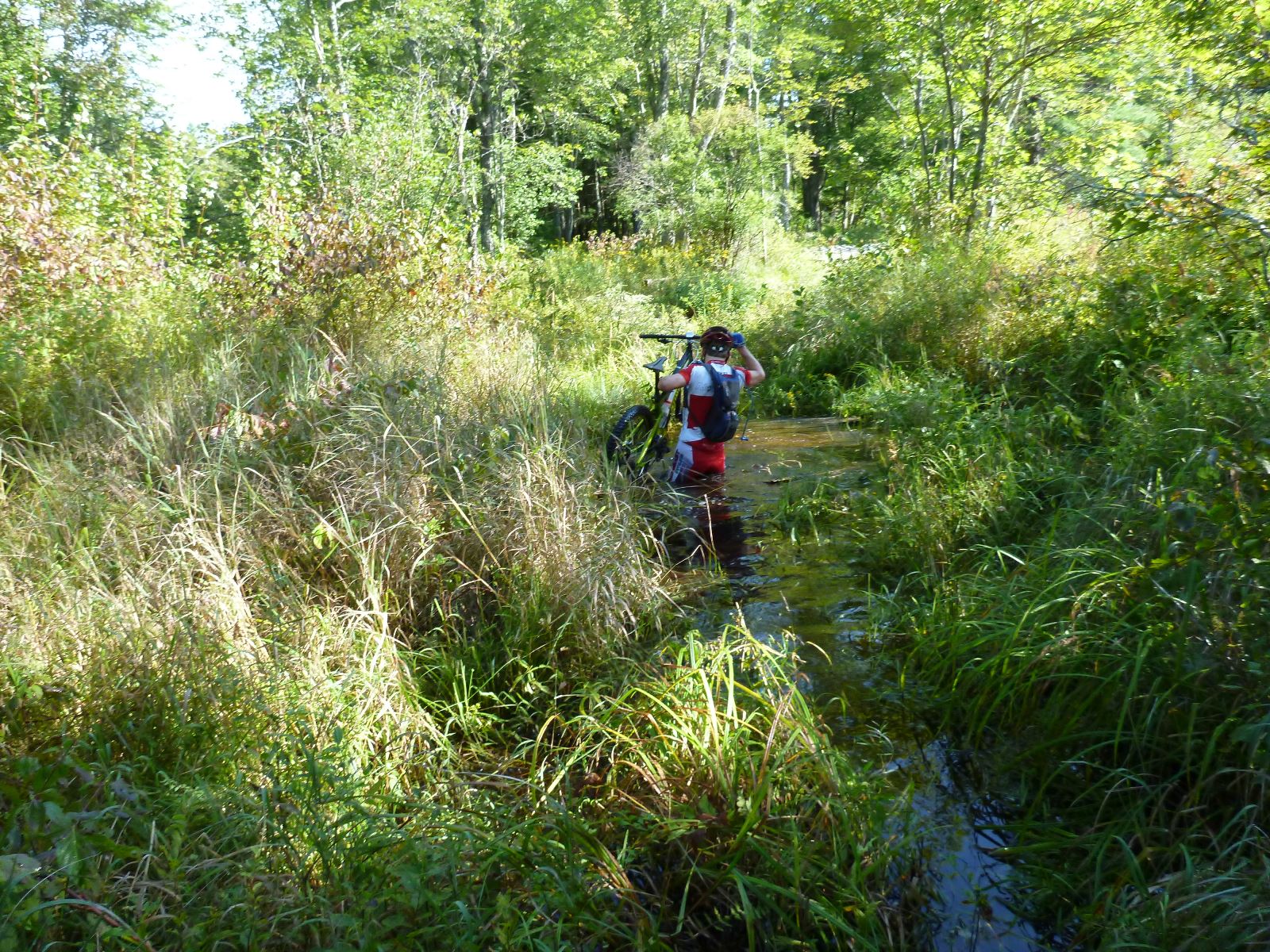 Hill Junkie: Propagating the art of boondoggling