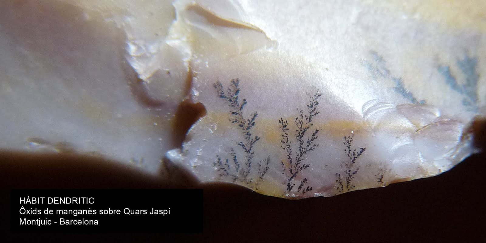 MINERALCAT: Guia - Hàbits Cristal·lins