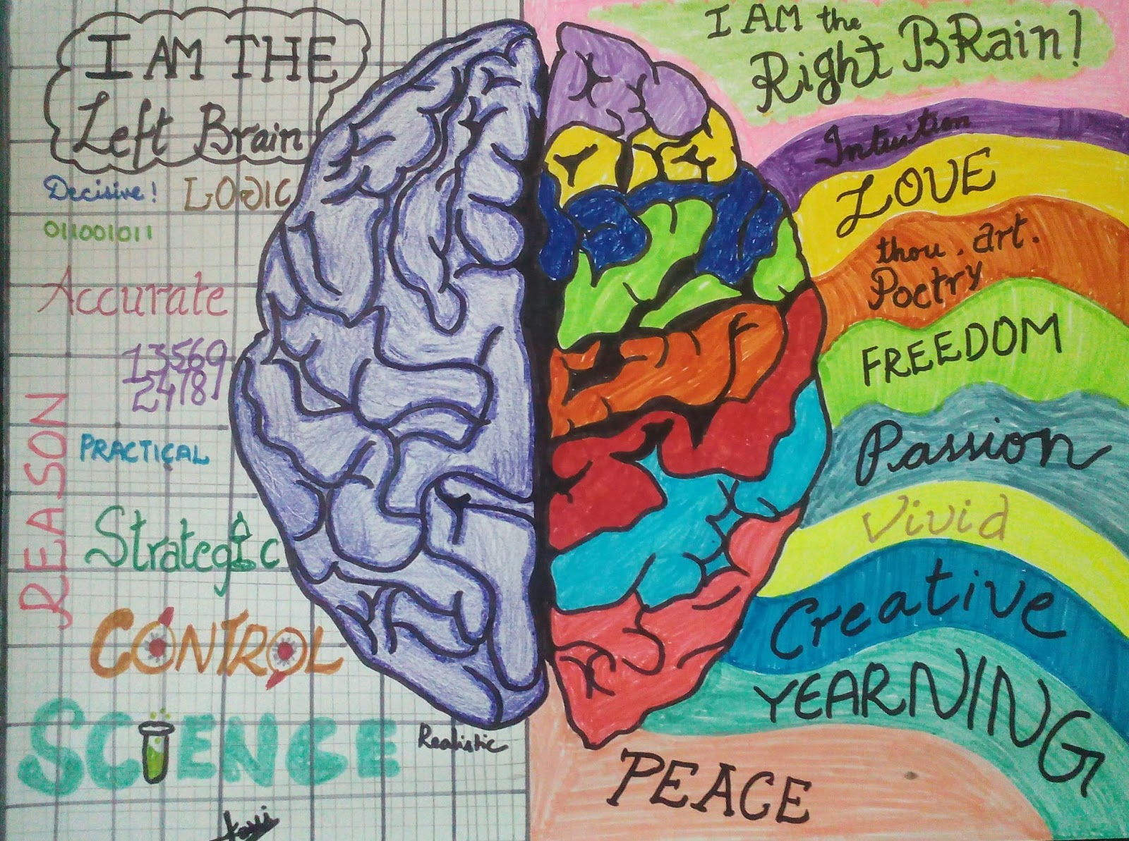 Medicowesome: Medicowesome secret project: Hemispheres of the brain