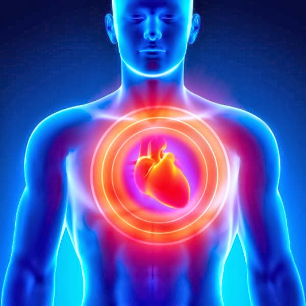 TU SALUD: PROBLEMAS CARDÍACOS Y LAS EMOCIONES