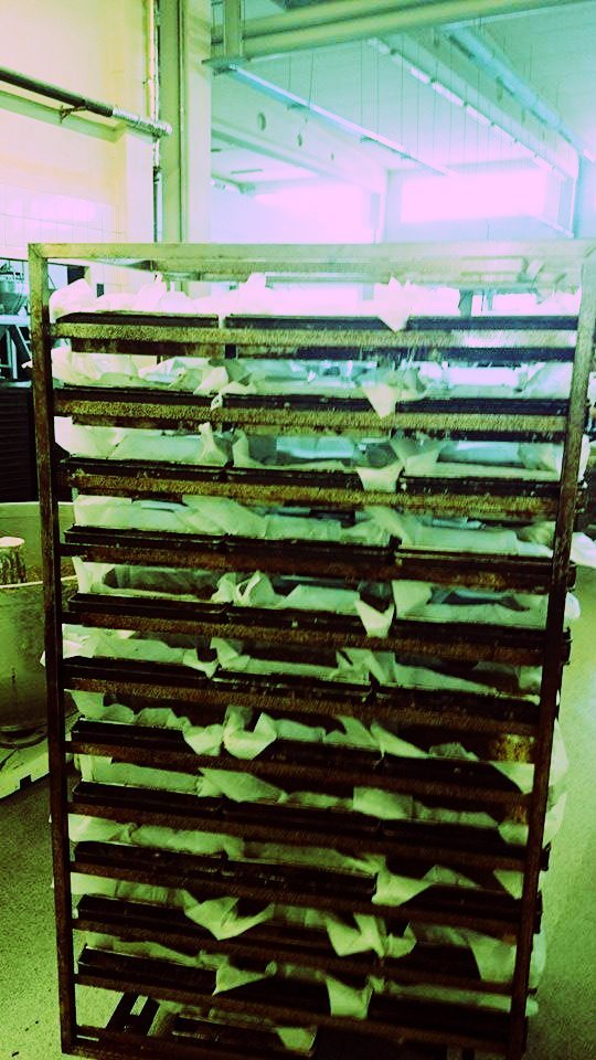 Cervezal: Kurko - Keptinis alus (Dundulis)