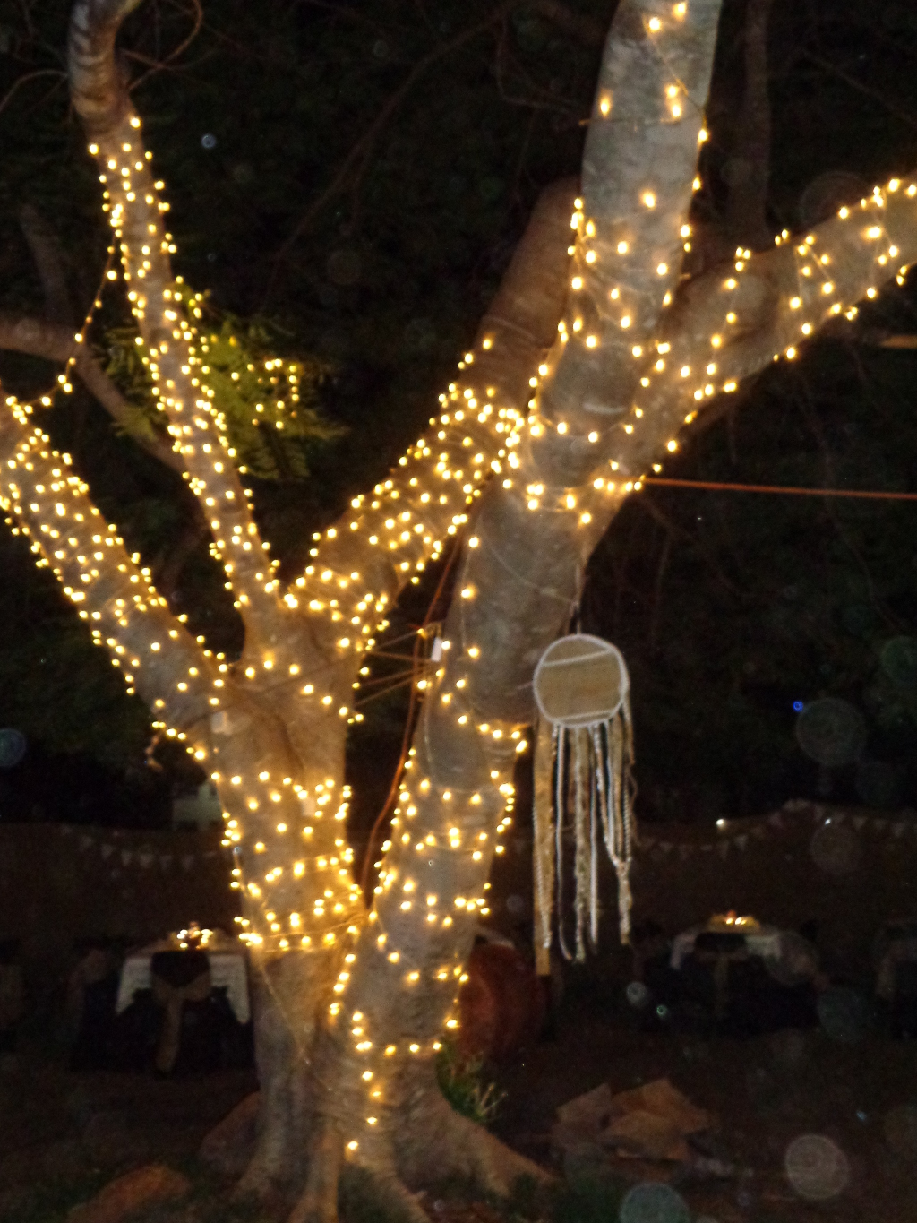 Jervoise Station, Queensland 2016