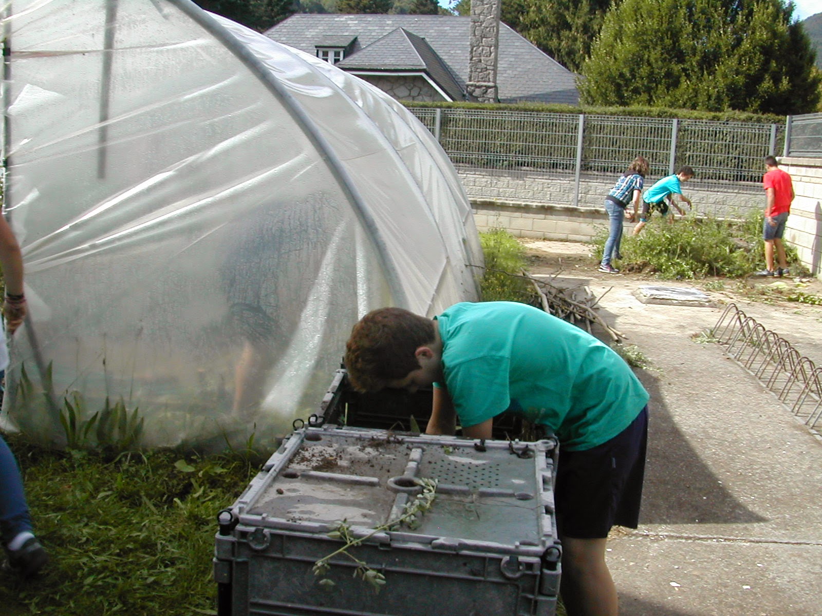 AIXADA I RASCLET diari de l'hort: L'HORT AL MES D'OCTUBRE
