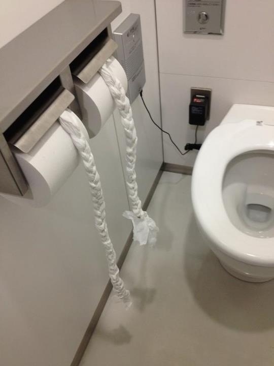 Ultra-Gross: The toilet paper rolls have pony tails.