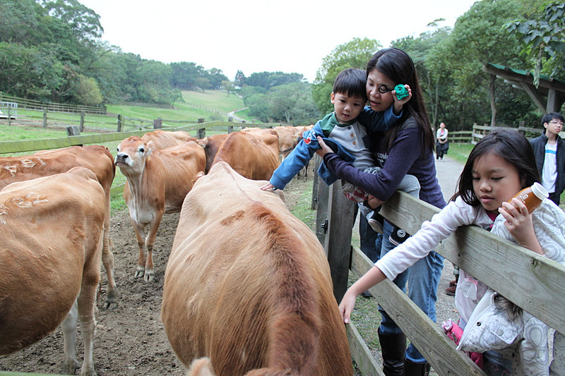 Taiwan Day 5/6 - Flying Cow Ranch - Sweetest Blessings In My Life