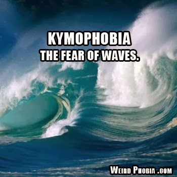 Collections: November 2013