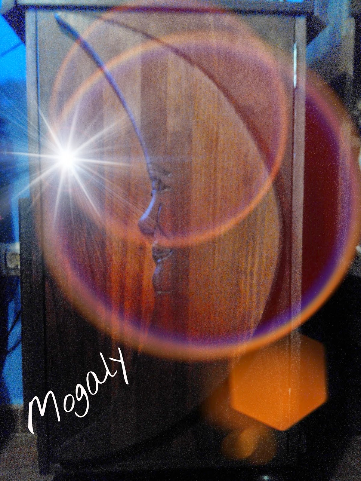 Los Mundos De Mogaly: LA BUHARDILLA DE MOGALY