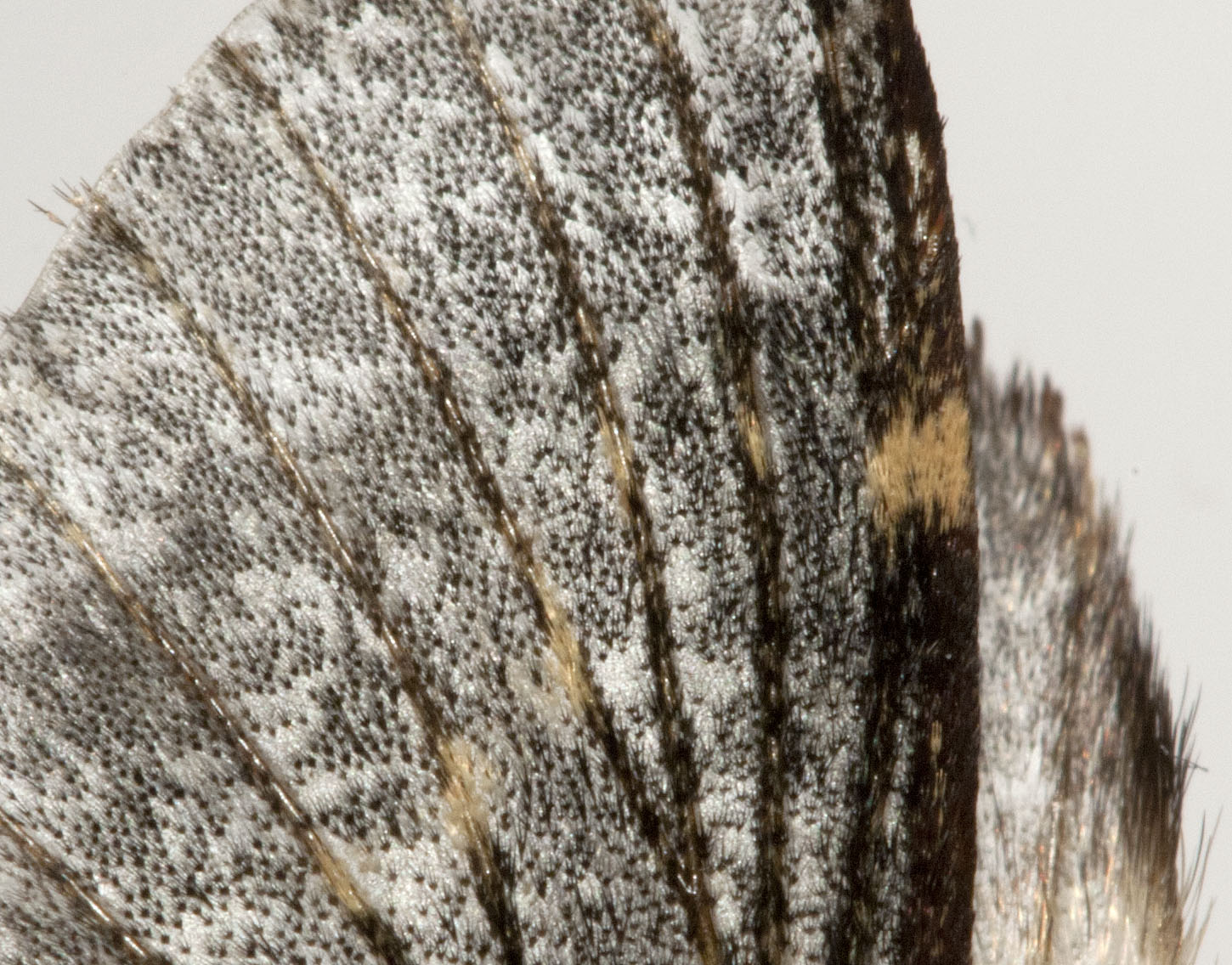 Winter Mothing | Naturally