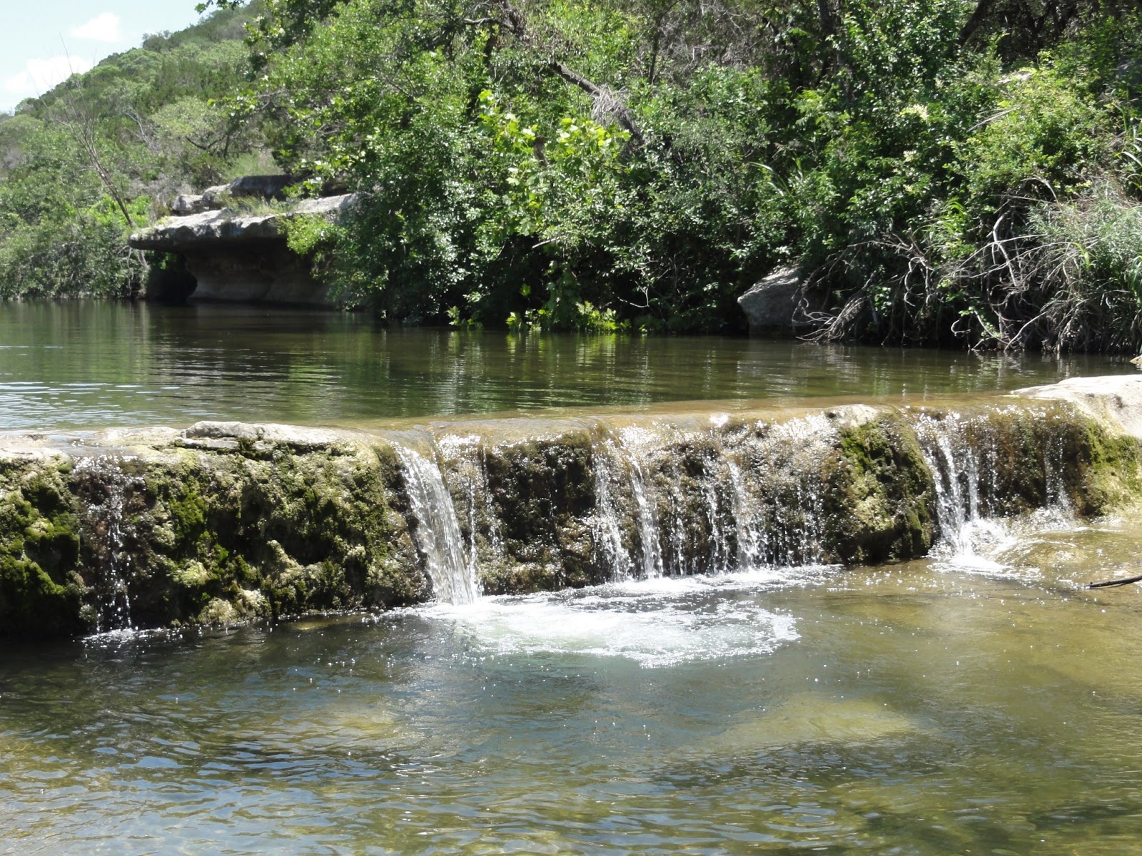 Bull Creek Nature Preserve at Judy Acosta blog