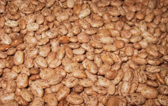 BEST HEALTHY DIARY: Beans prolong your life