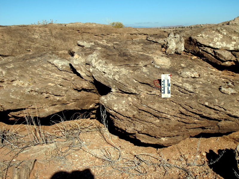 The Bu Element: An exhumed paleochannel...