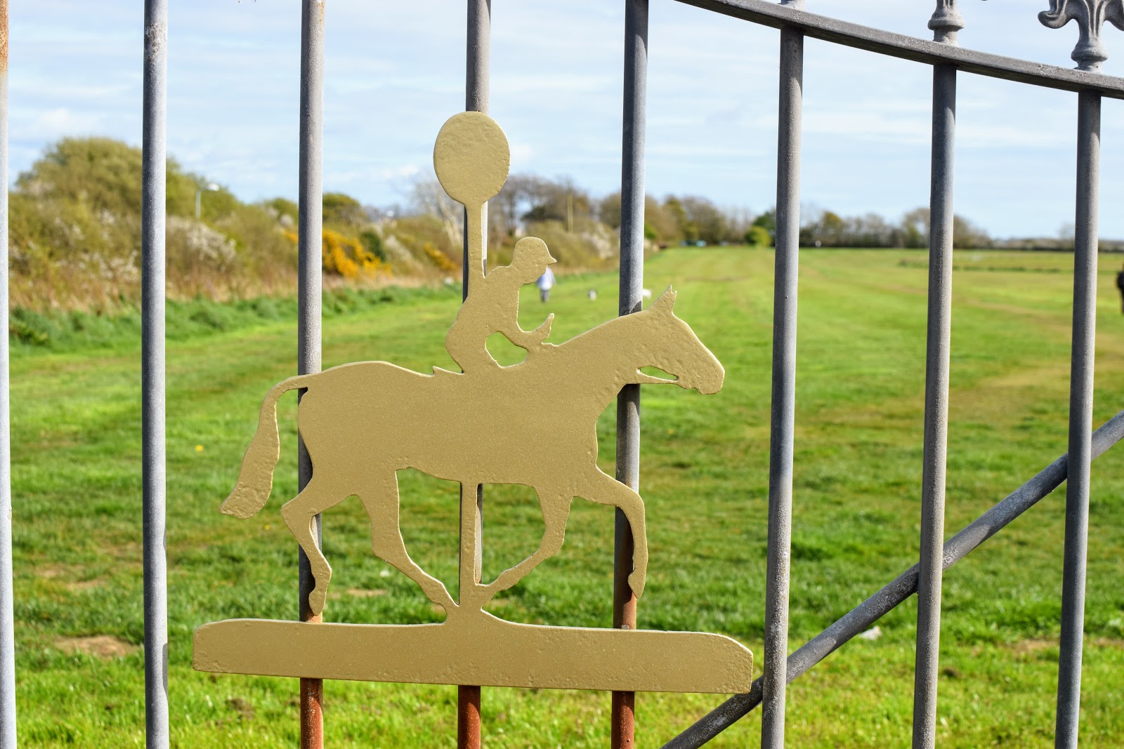 Pembrokeshire Walks: Haverfordwest Race Course - Diary of the Evans ...