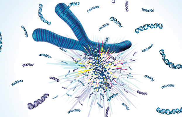 neuropathology blog: Chromothripsis!