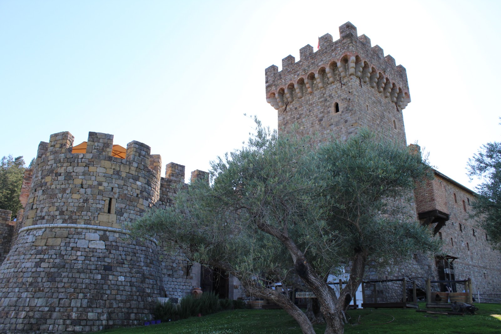 Wandering Woolfolks: Napa 2